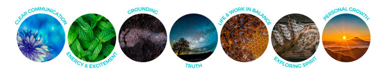 About us | Kabloom Agency